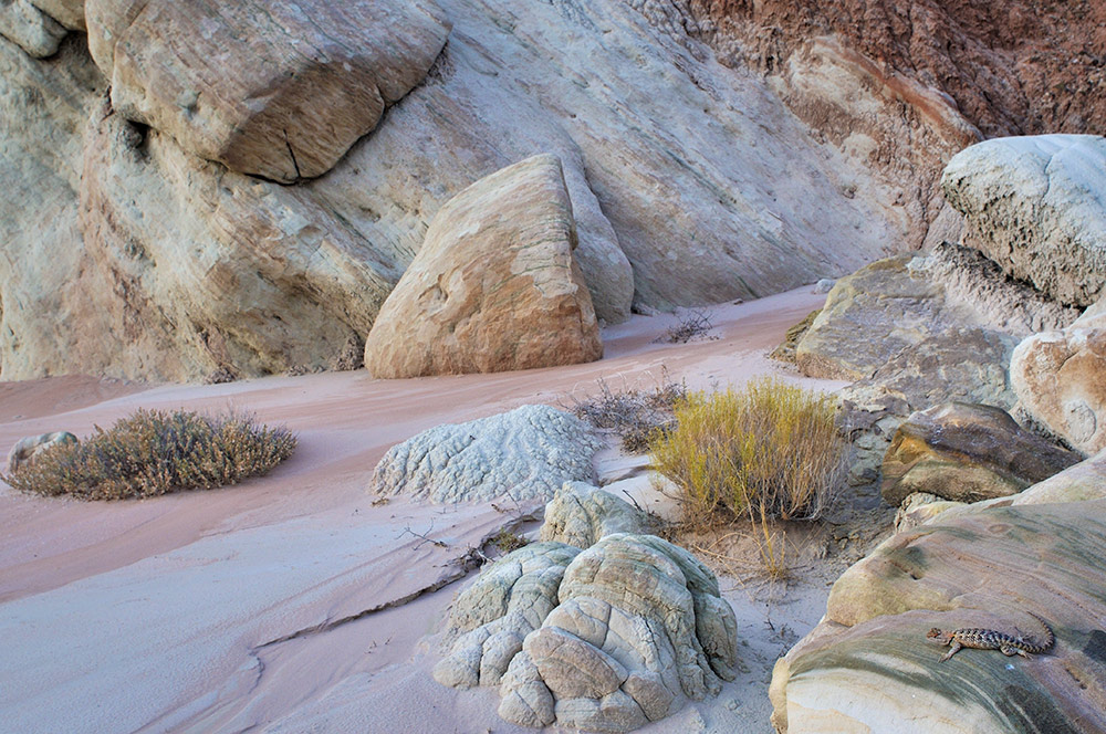 Field Camp 2013 | Geosciences